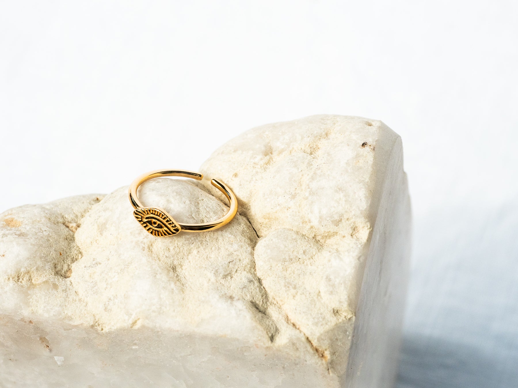 Rings– Brink and Forbes